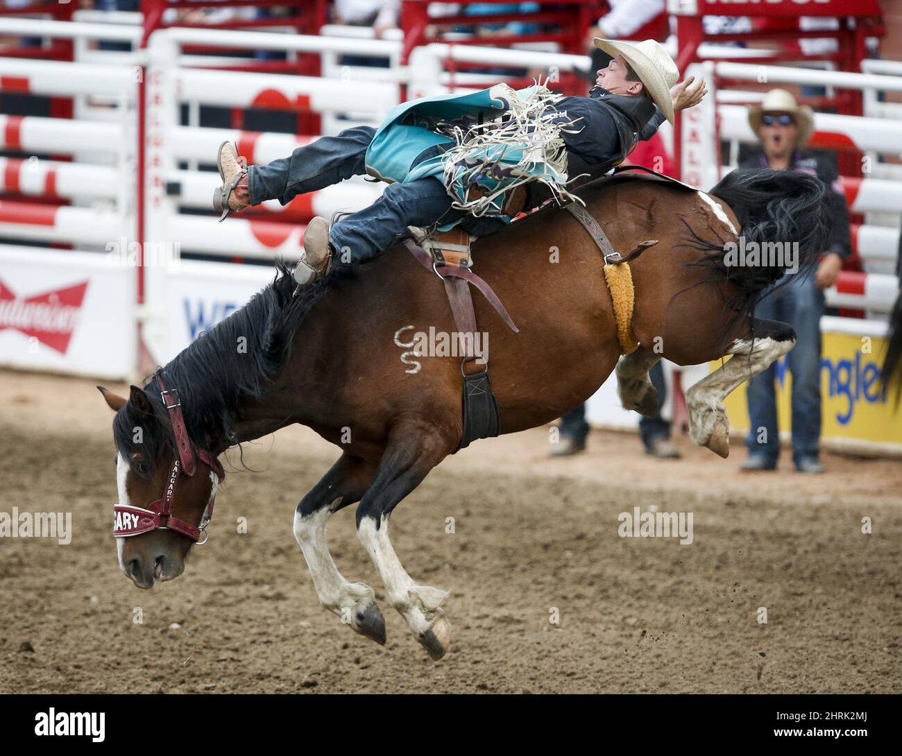 Tanner Aus, of Granite Falls, Minn., rides Yipee Kibitz to win the ...