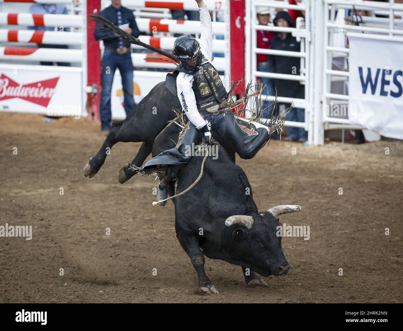 Sage Steele Kimzey, of Strong City, Okla., rides Night Moves to win the ...