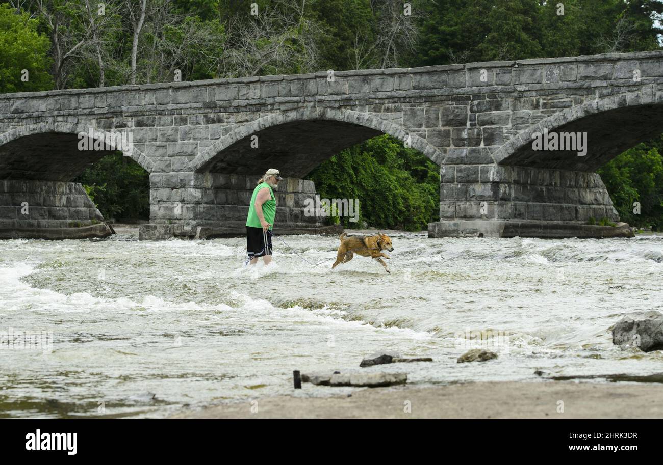 Paul Stanton cools down in the Mississippi River with his dog Lucy in ...
