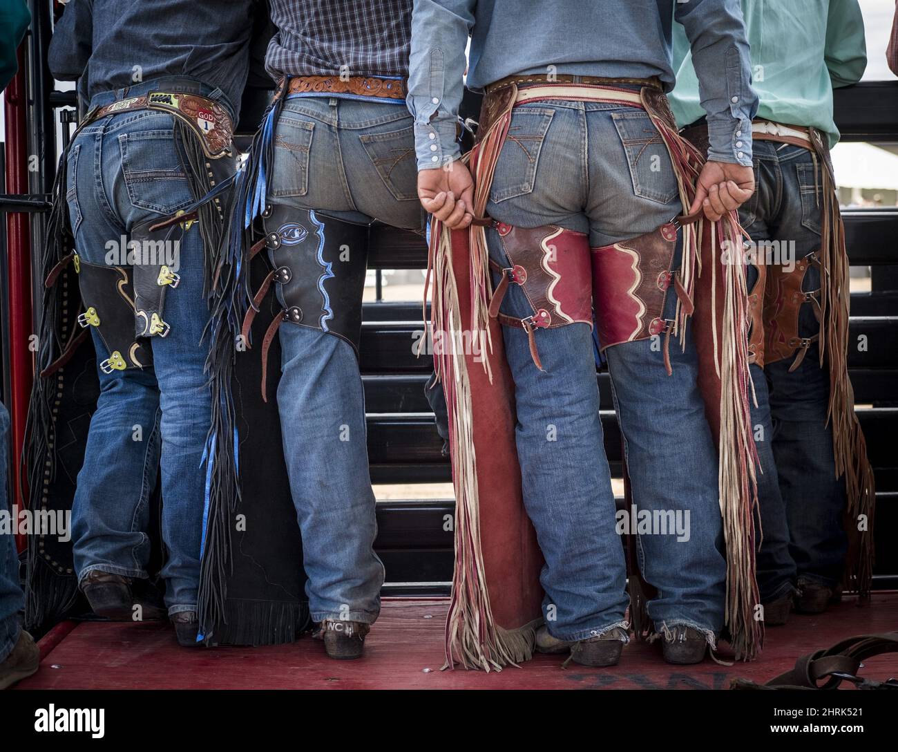 Competitors watch from the chute at the Hardgrass Bronc Match in ...