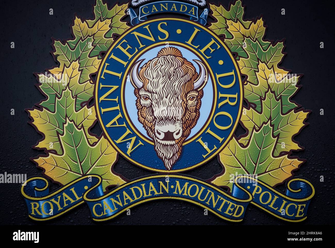 Surrey police logo hi-res stock photography and images - Alamy