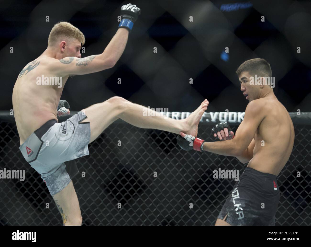 Bantamweight fighters Louis Smolka and Ryan MacDonald fight during UFC ...