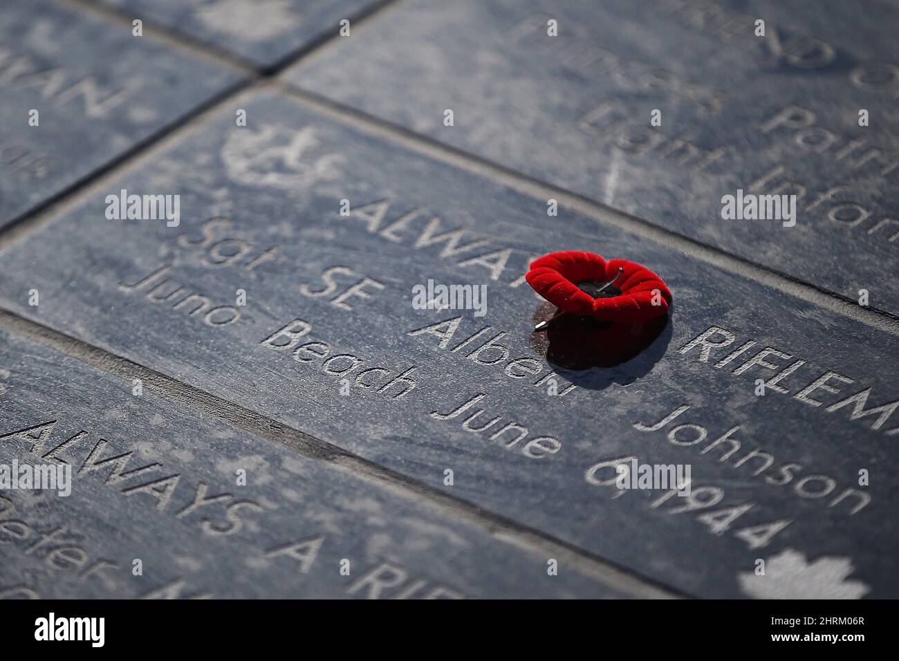 Poppies are placed on cenotaph names plates of family members at a ...