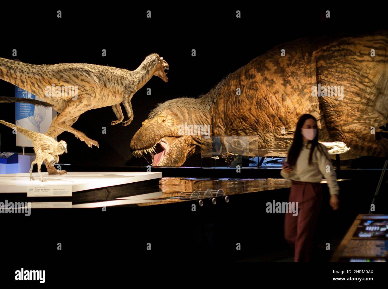 Vancouver, Canada. The exhibition runs from Feb. 26. 22nd Jan, 2023. A ...