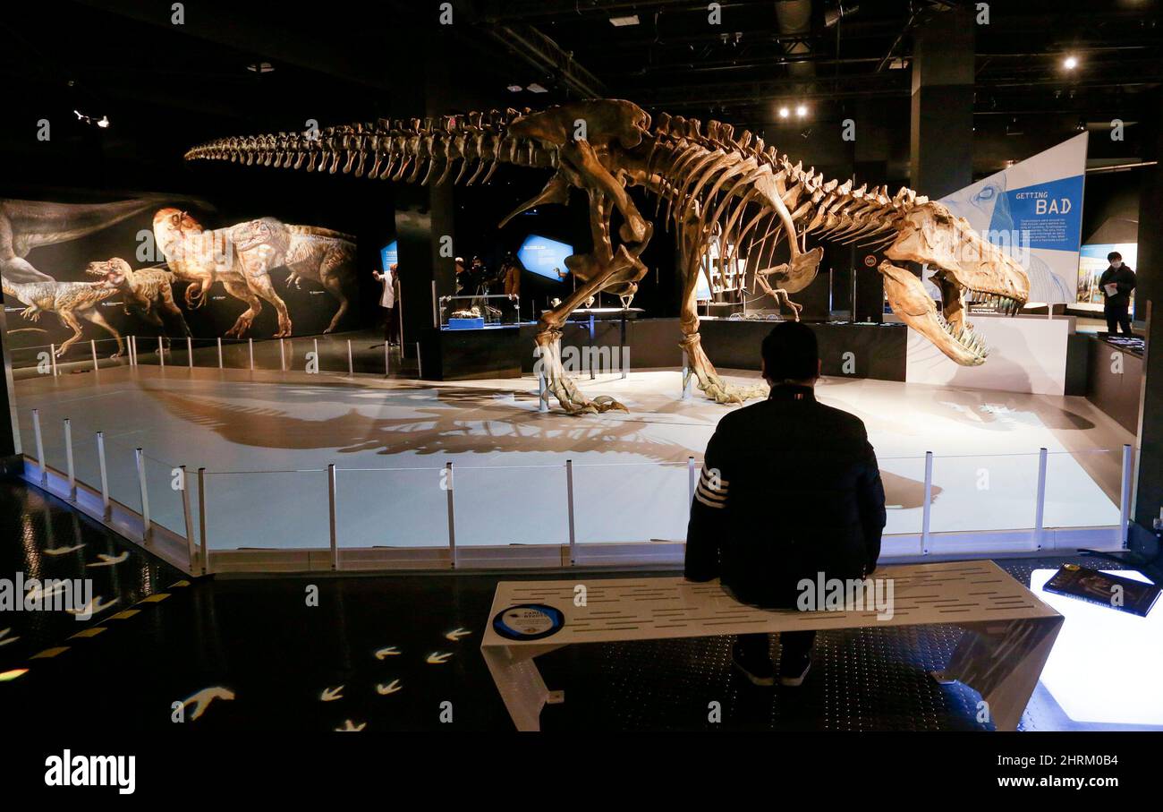 Vancouver, Canada. The exhibition runs from Feb. 26. 22nd Jan, 2023. A ...