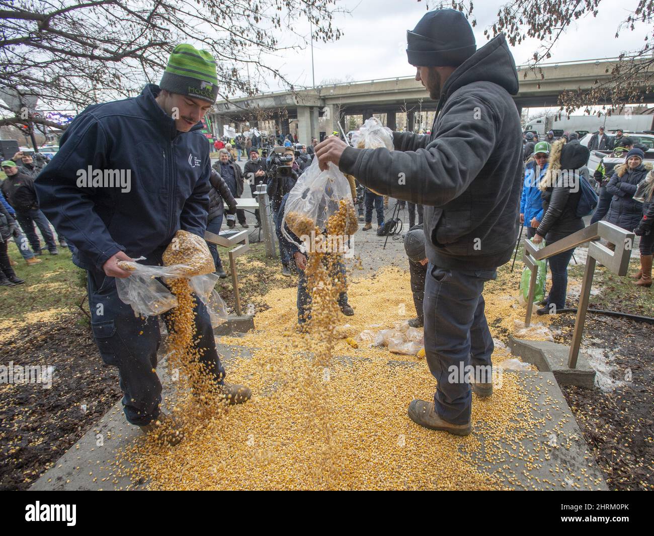 Farmers dump corn as they protest the ongoing CN rail strike in front ...