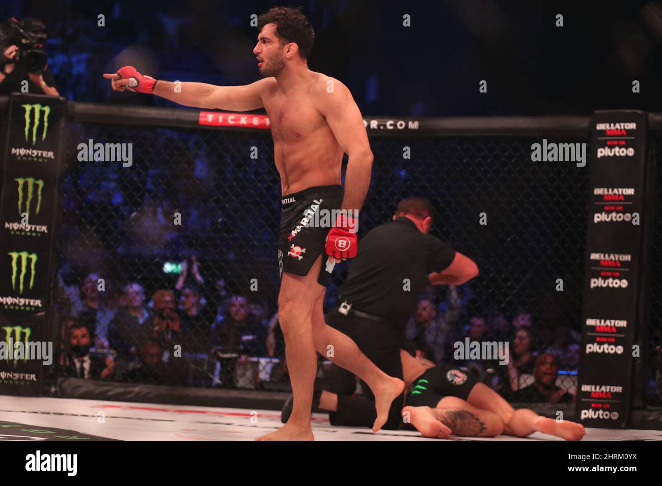 Bellator champion hi-res stock photography and images - Alamy