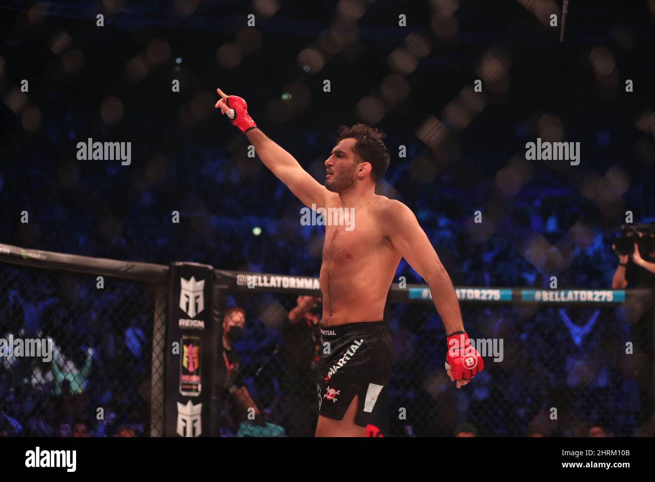 Bellator champion hi-res stock photography and images - Alamy
