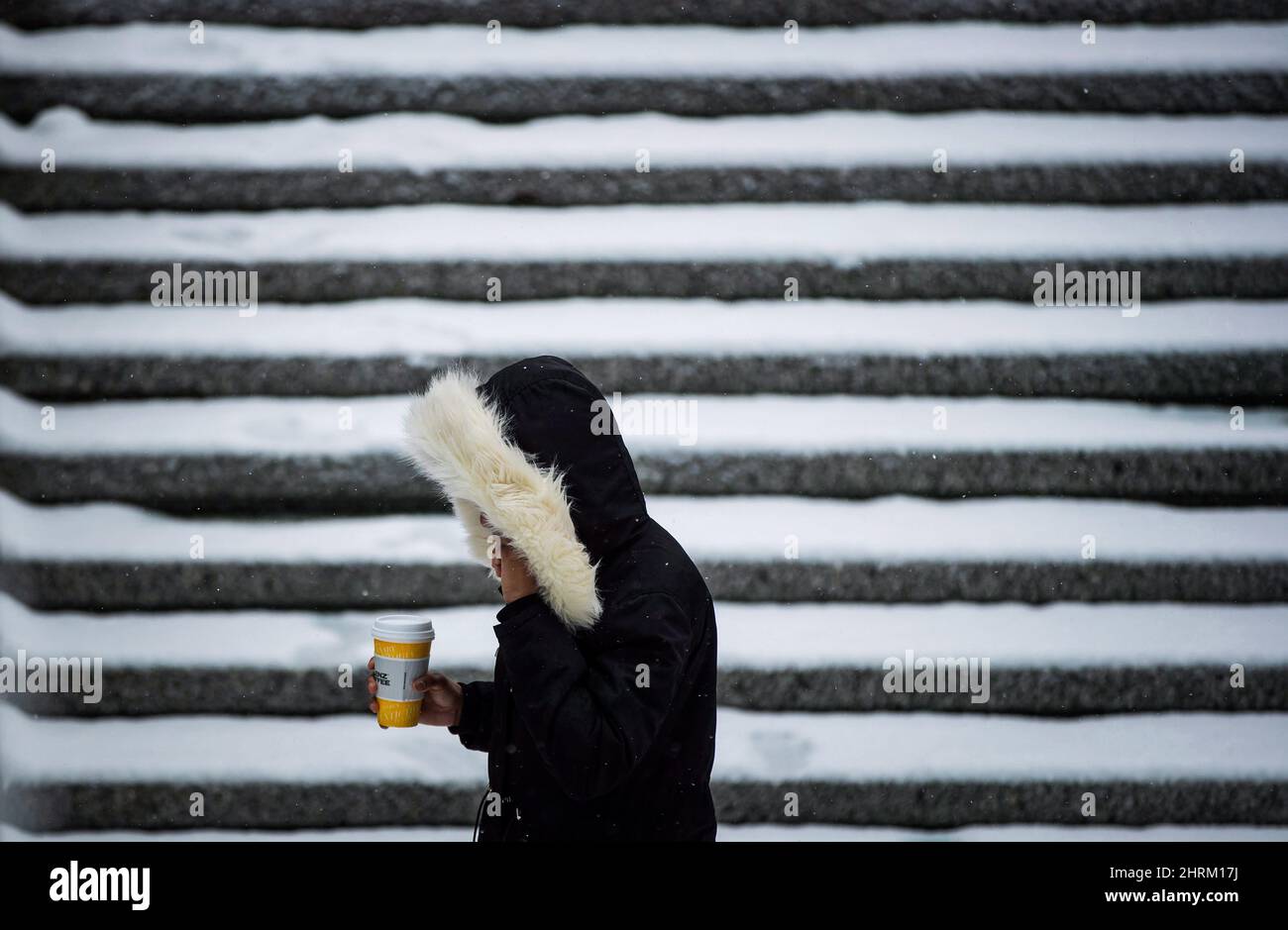 A bitter cold snap gripping much of British Columbia's south coast ...