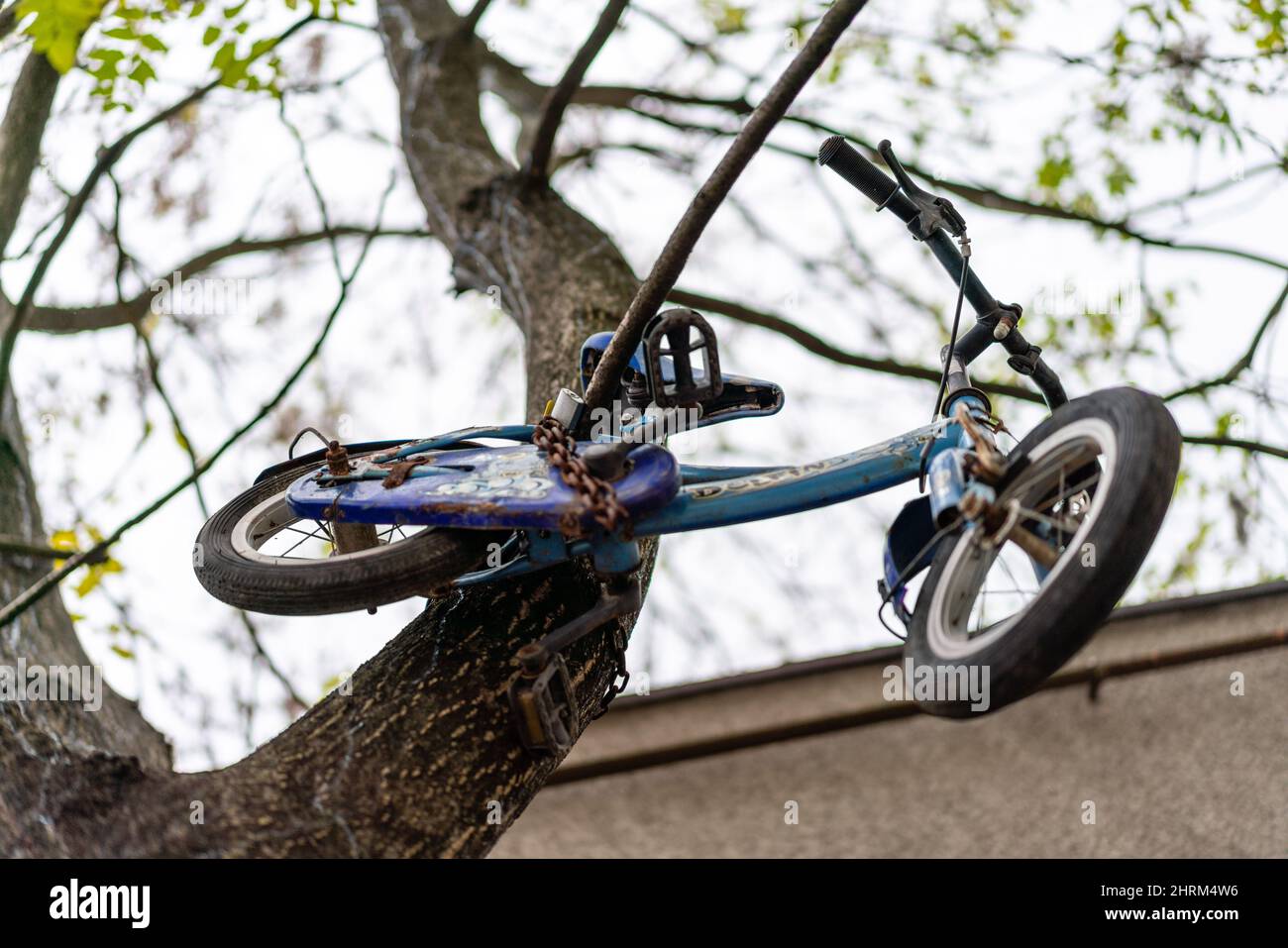 Blue rusty children's bike chained to a tree in Budapest, Hungary Stock ...