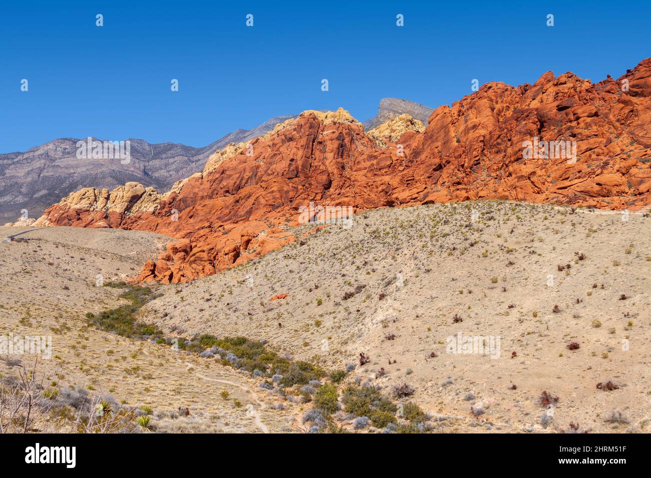 Red rock canyon landscape hi-res stock photography and images - Alamy