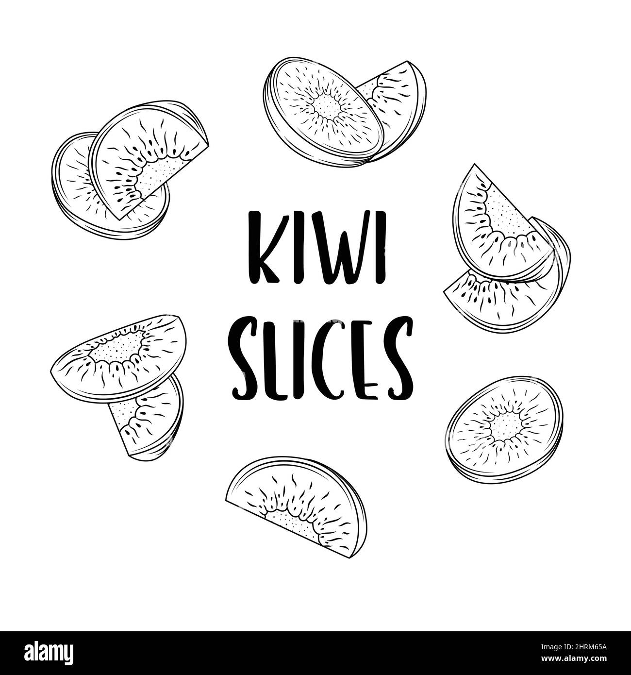 Kiwi hand drawn collection by ink and pen sketch. Doodle kiwi fruit ...