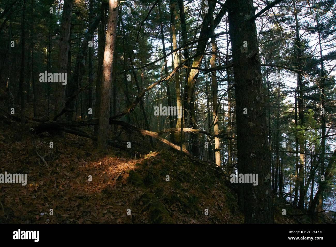 Pentenwell bluff hi-res stock photography and images - Alamy