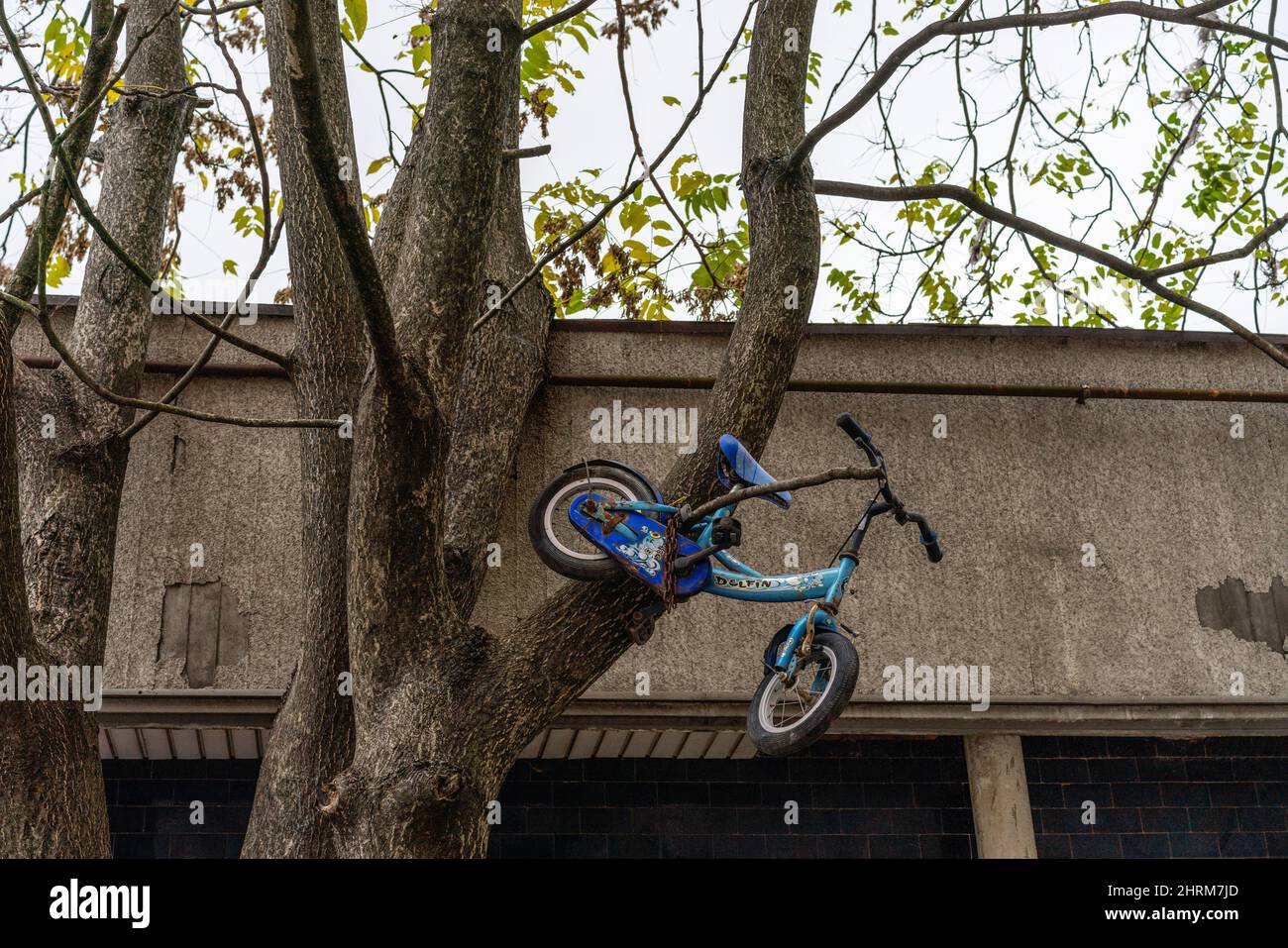 Blue rusty children's bike chained to a tree in Budapest, Hungary Stock ...
