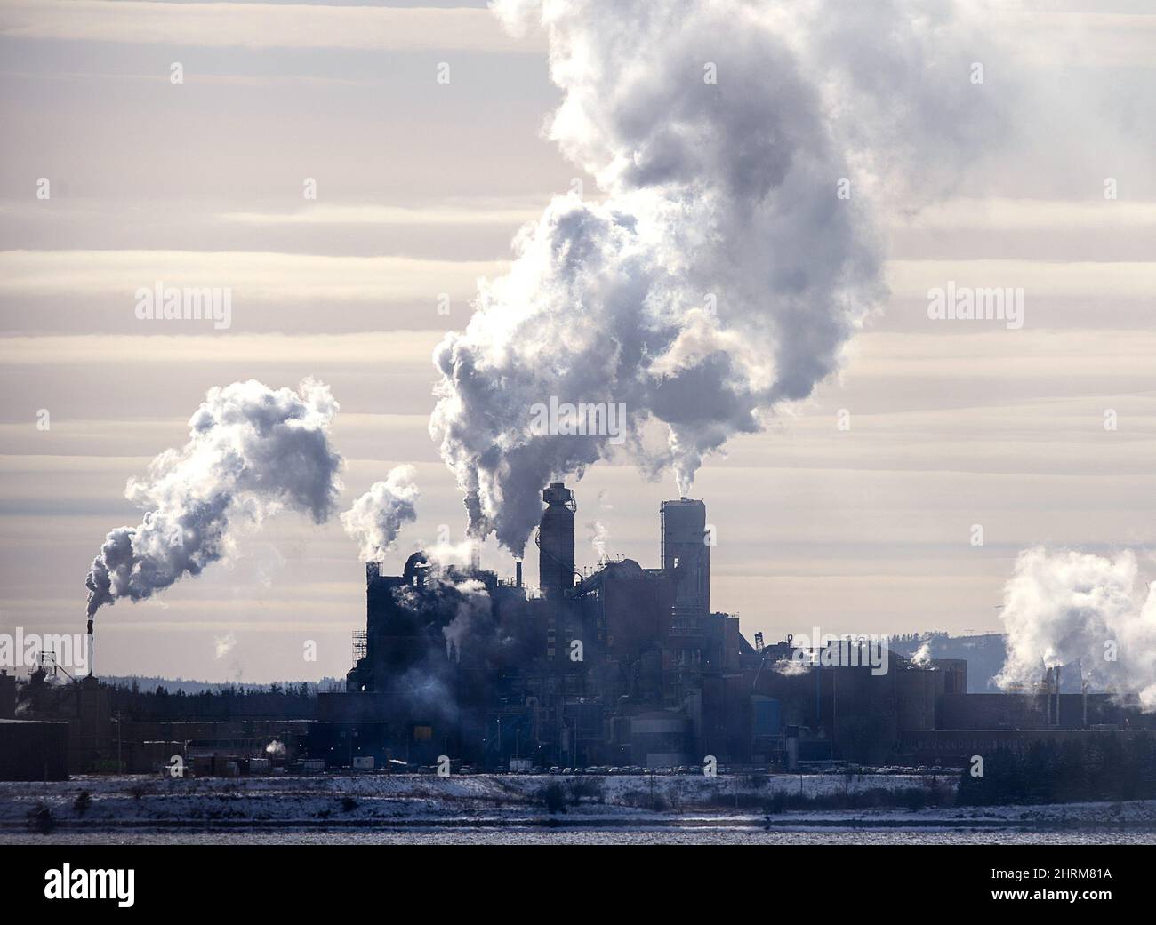 The Northern Pulp mill in Abercrombie Point, N.S., is viewed from ...