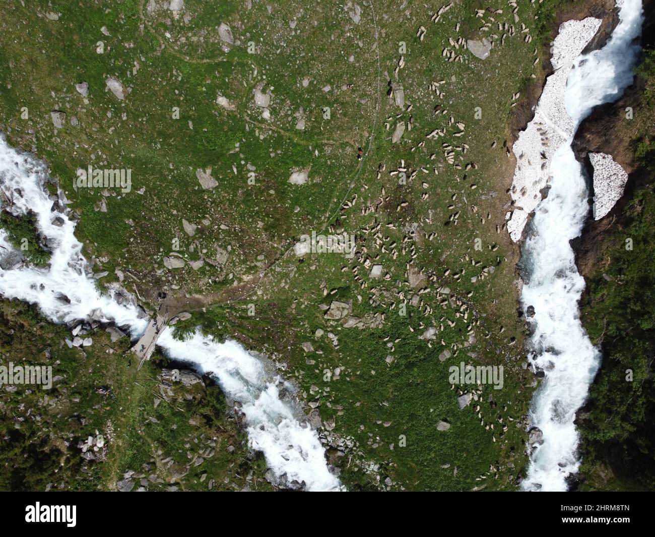 Bird's eye view of the green meadow with water streams from both sides ...