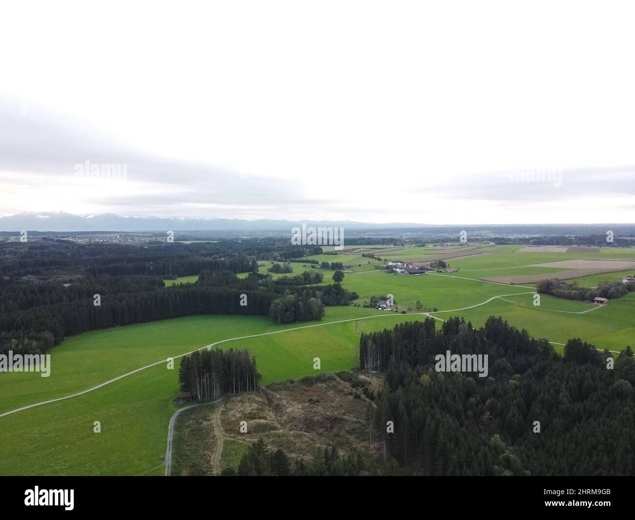 Beautiful summer landscape with dense trees and green fields in ...