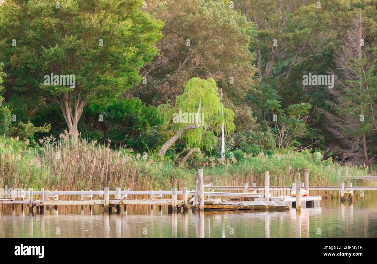 Docks and wet lands in Sag Harbor, NY Stock Photo - Alamy