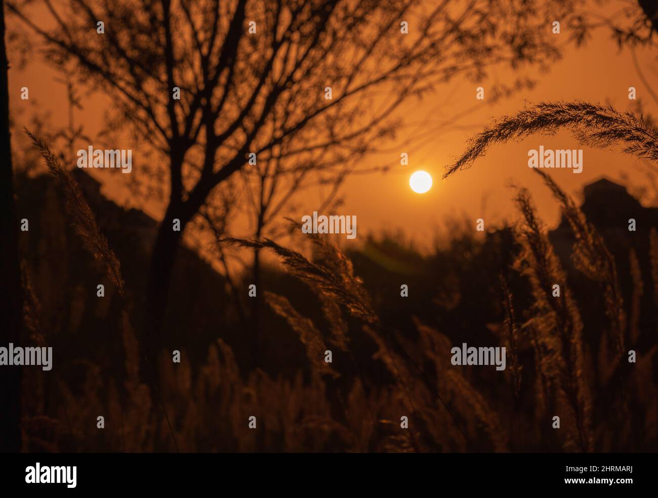 An evening scene of a beautiful sunset Stock Photo - Alamy
