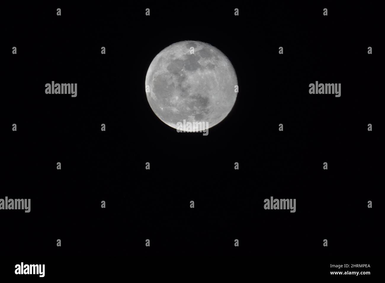 Zoomed in shot of the full moon in the night sky Stock Photo - Alamy