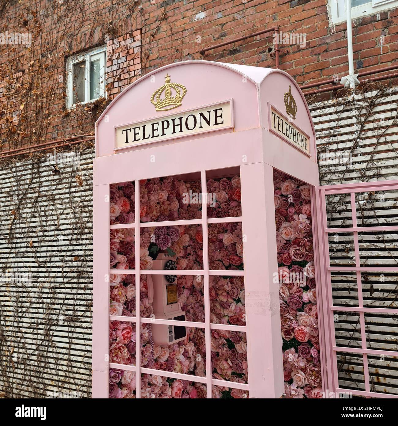Pink phone booth decorated with flowers in South Korea Stock Photo - Alamy
