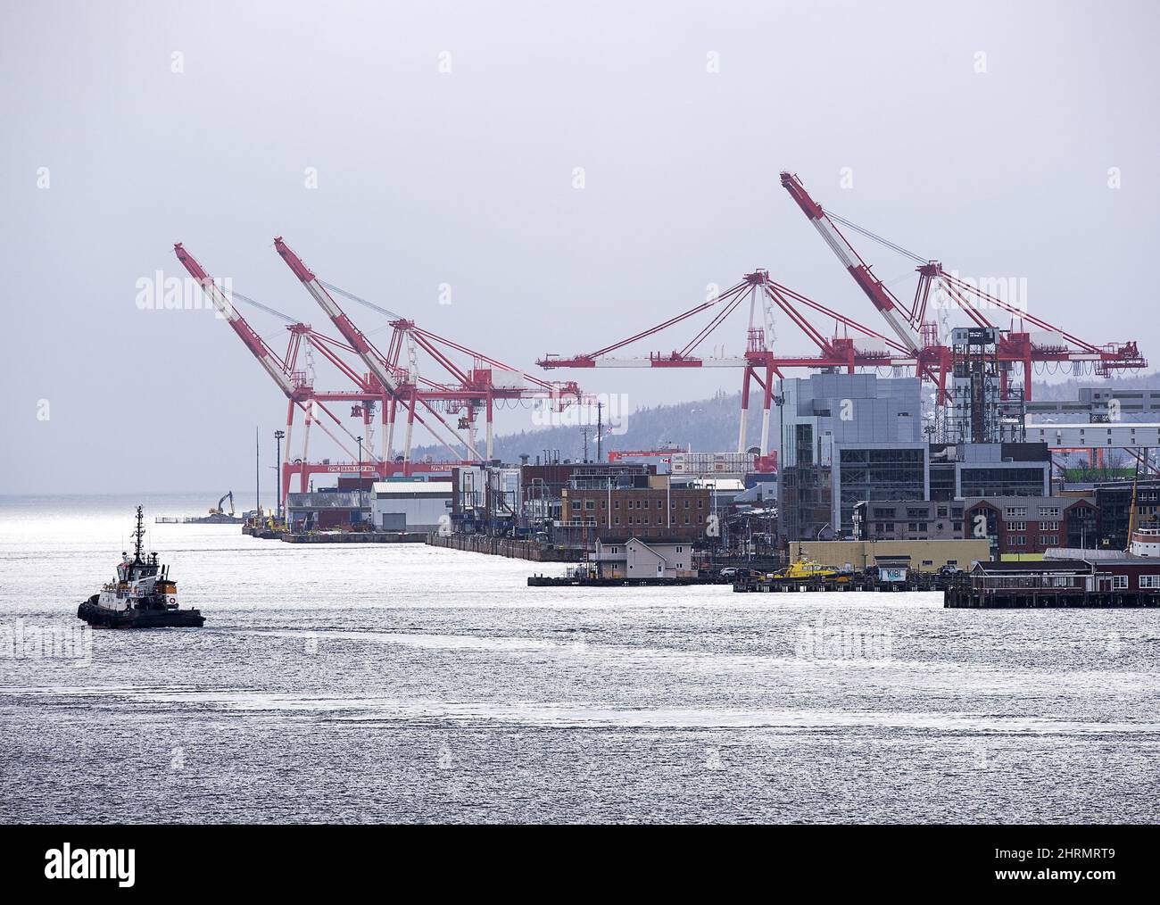 A tugboat heads past the South End Container Terminal in Halifax on ...