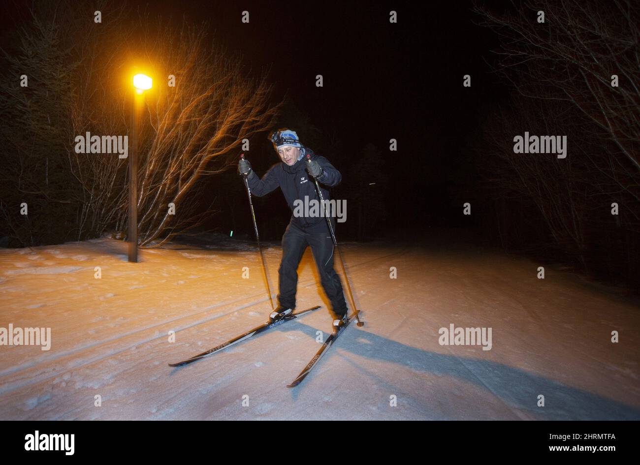 Brian Tobin skis on the groomed trails of Pippy Park in St. Johnâ€™s on ...
