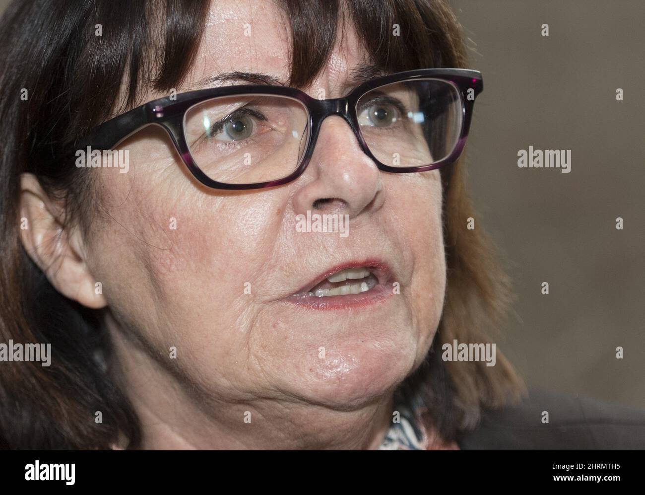 CSQ Union President Sonia Ethier speaks to the media prior to a meeting ...