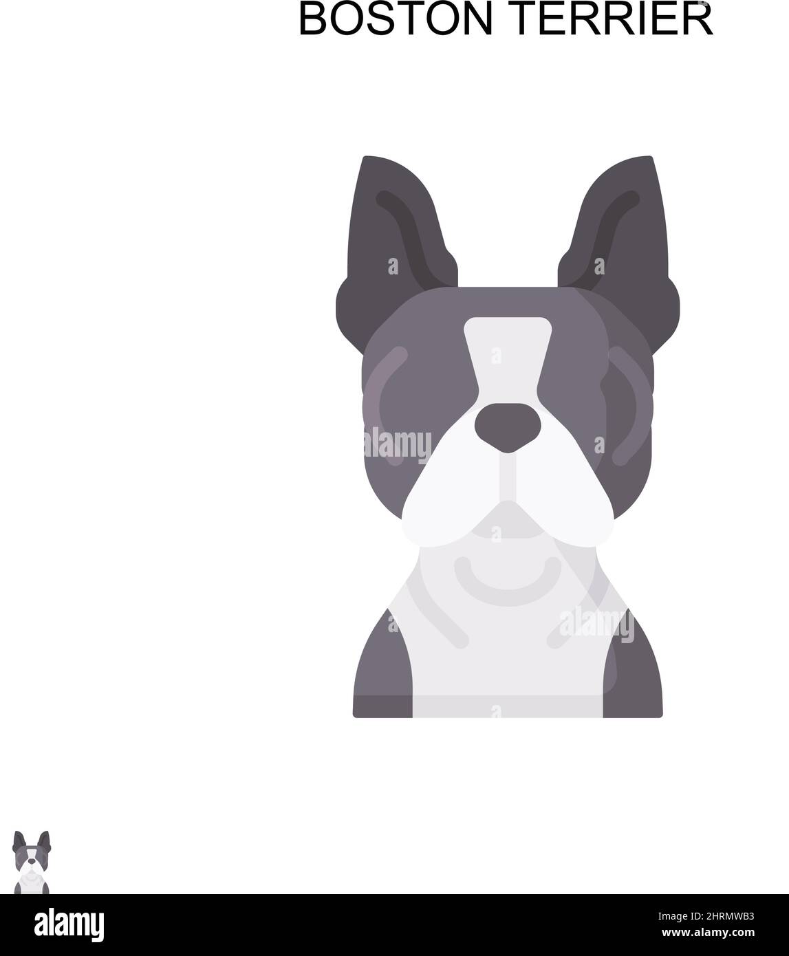 Boston terrier Simple vector icon. Illustration symbol design template ...