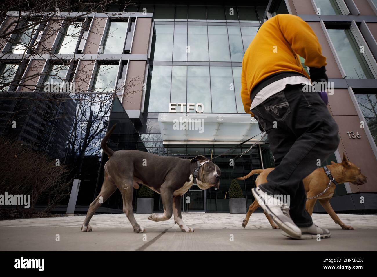 Elementary Teachers' Federation of Ontario (ETFO) headquarters is seen ...
