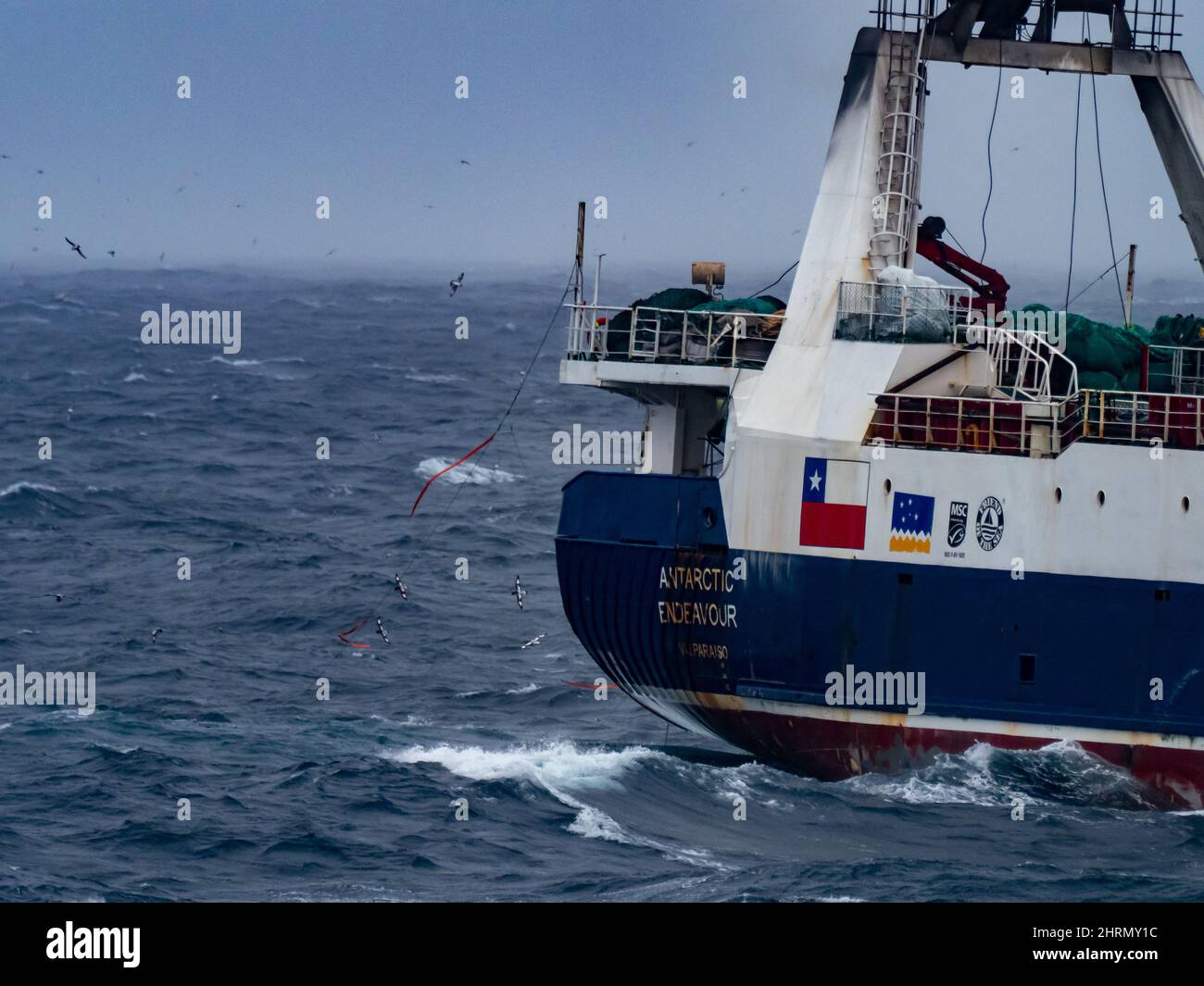 A krill fishing boat catching krill off the South Orkney Islands ...