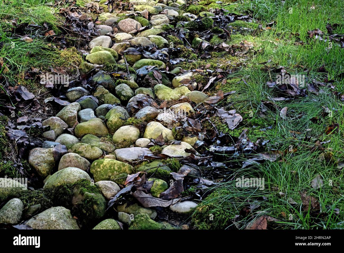 Waterless stream bed hi-res stock photography and images - Alamy