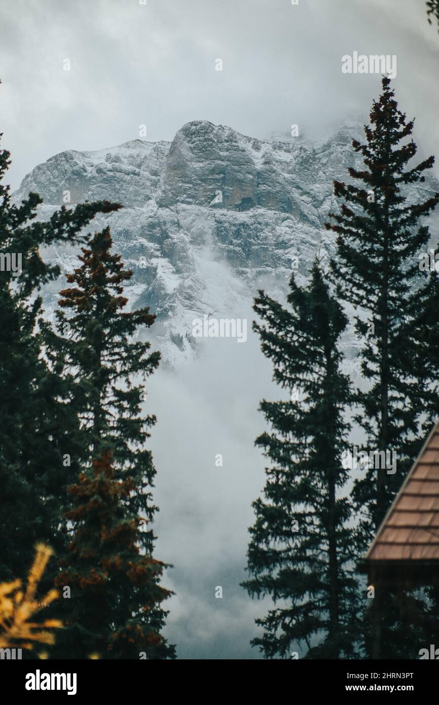 Scenic portrait of a mountain summit with pine trees and clouds Stock ...