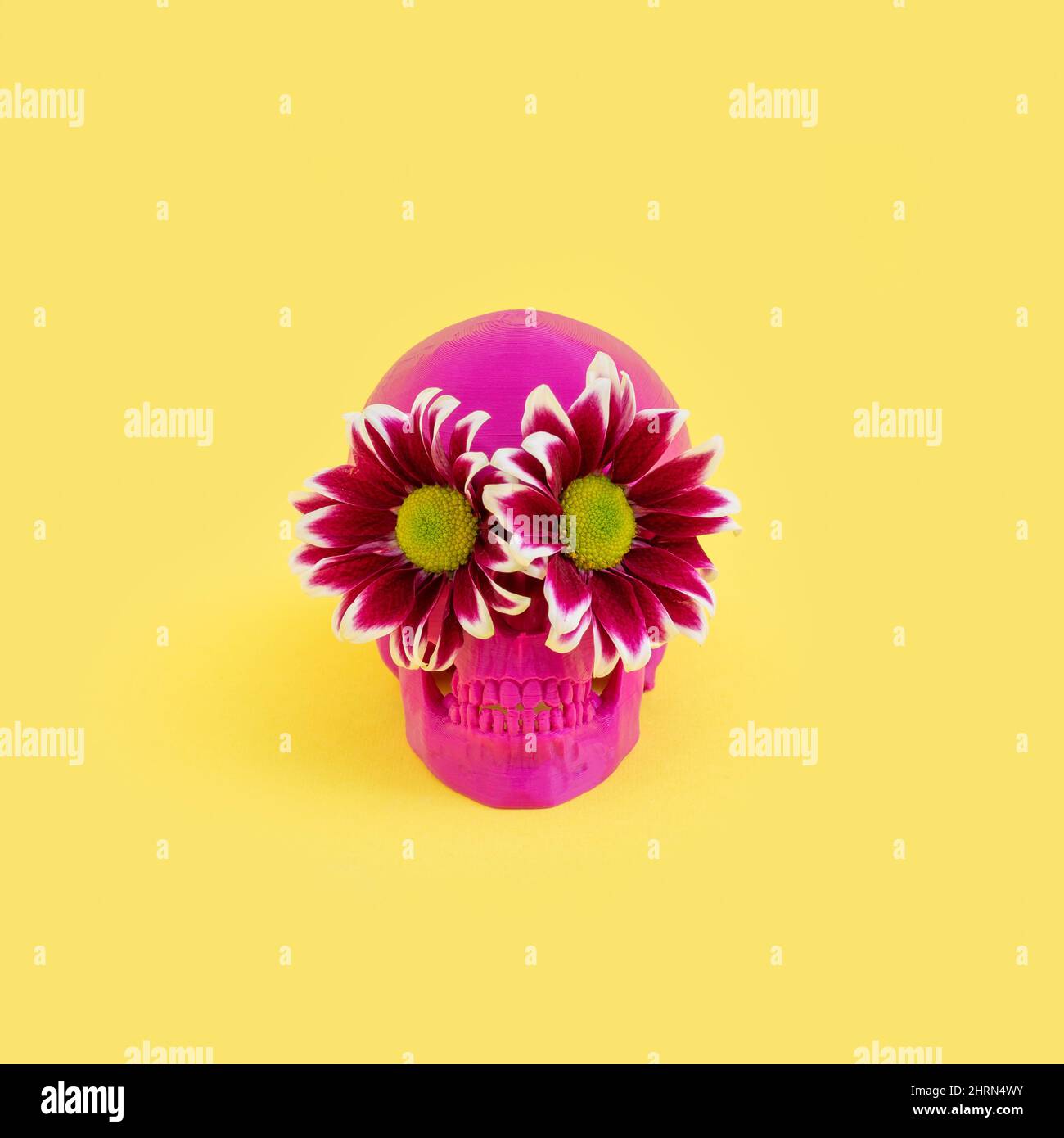 Illustration of a pink skeleton with red flowers against the yellow ...