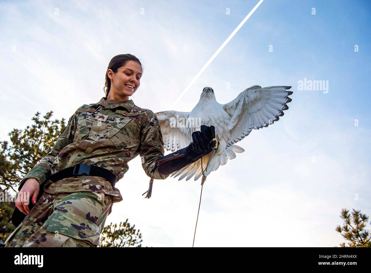Colorado Springs, Colorado, USA. 10th Feb, 2022. Nova, one of eight ...