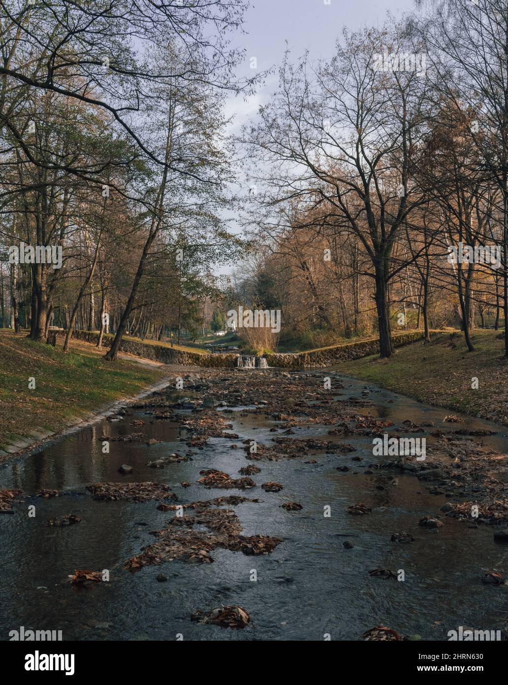 Vertical shot of fallen leaves float in a stream with water cascading ...