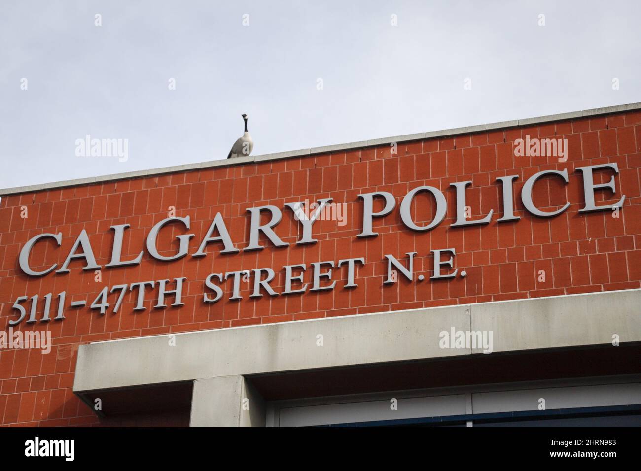 The Calgary Police Service headquarters in Calgary, Alta., Thursday ...