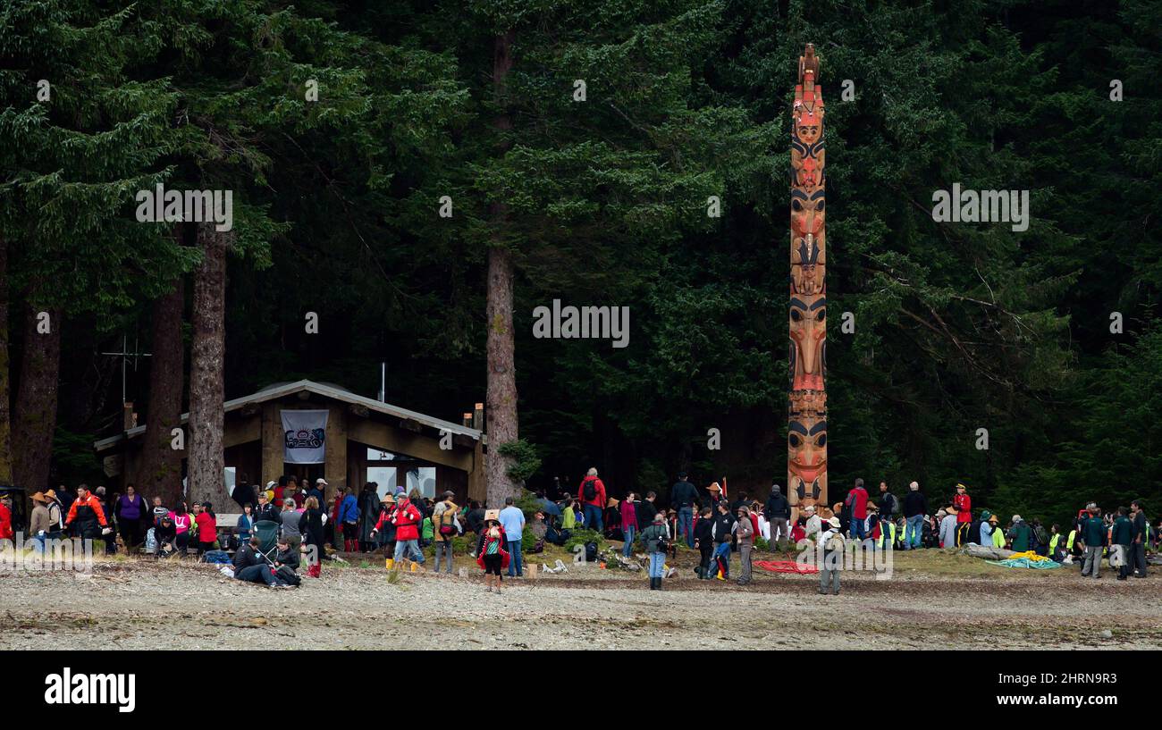 The Gwaii Haanas legacy totem pole is seen after being raised in Windy ...