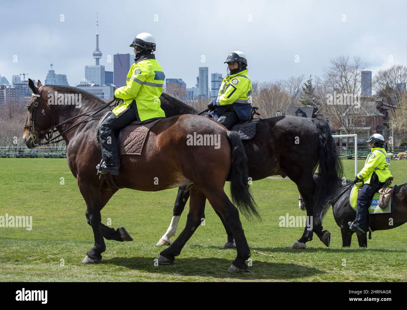 Toronto Police Mounted Unit officers patrol a city park in Toronto on ...