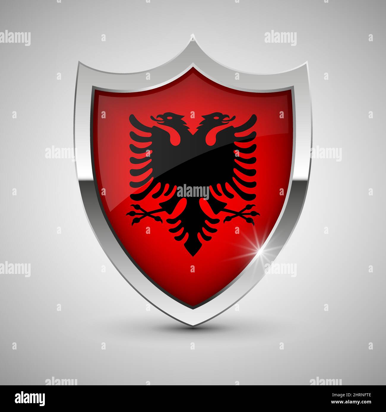 EPS10 Vector Patriotic shield with flag of Albania. An element of ...