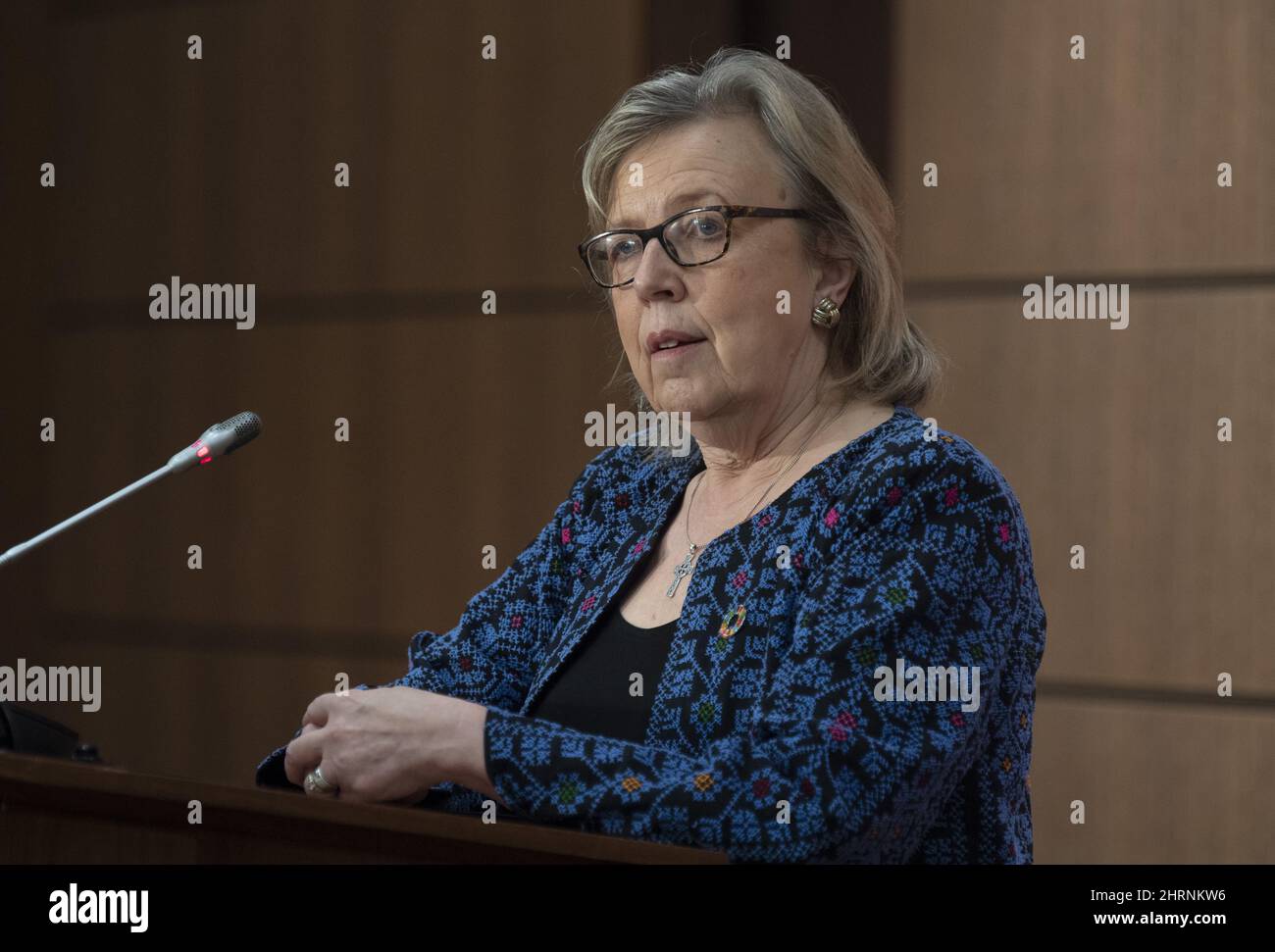 Green Party MP Elizabeth May speaks with media during a news conference ...