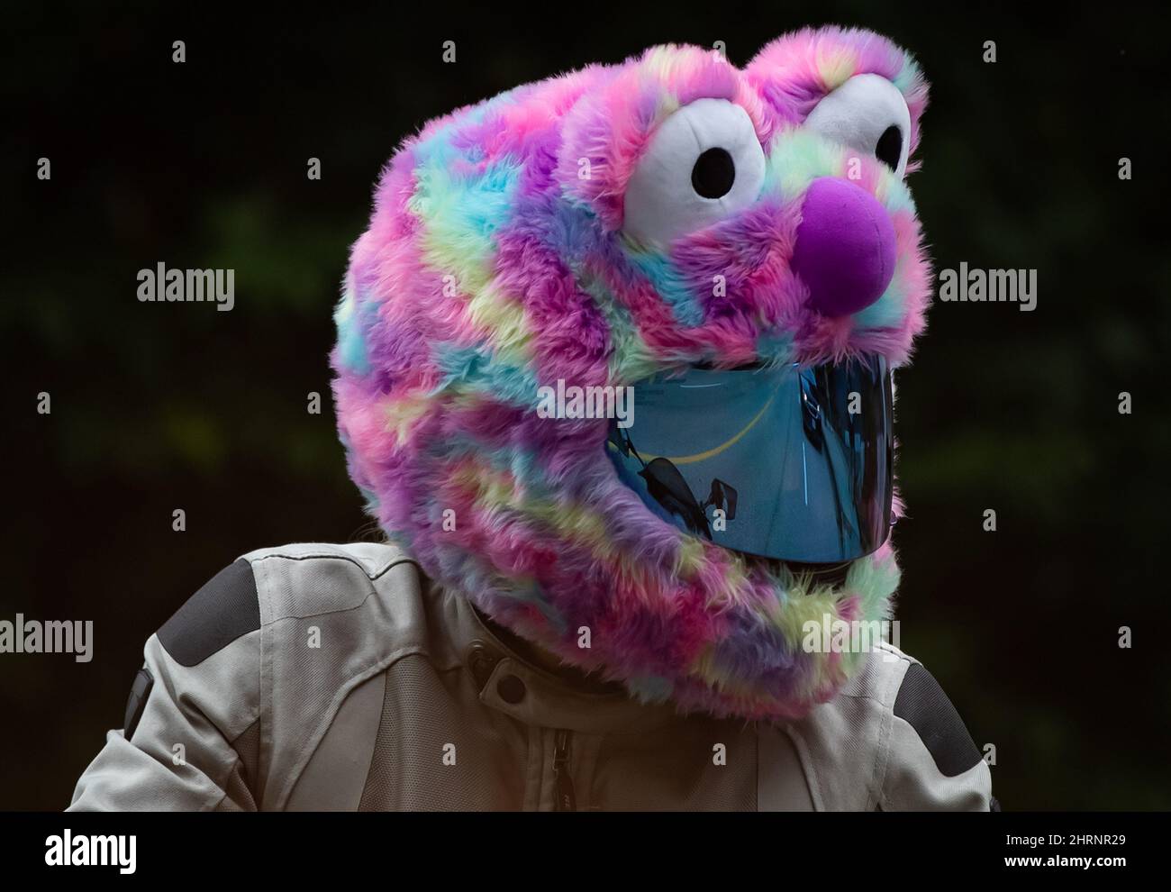 A person wearing a furry character helmet cover rides a motorcycle in ...