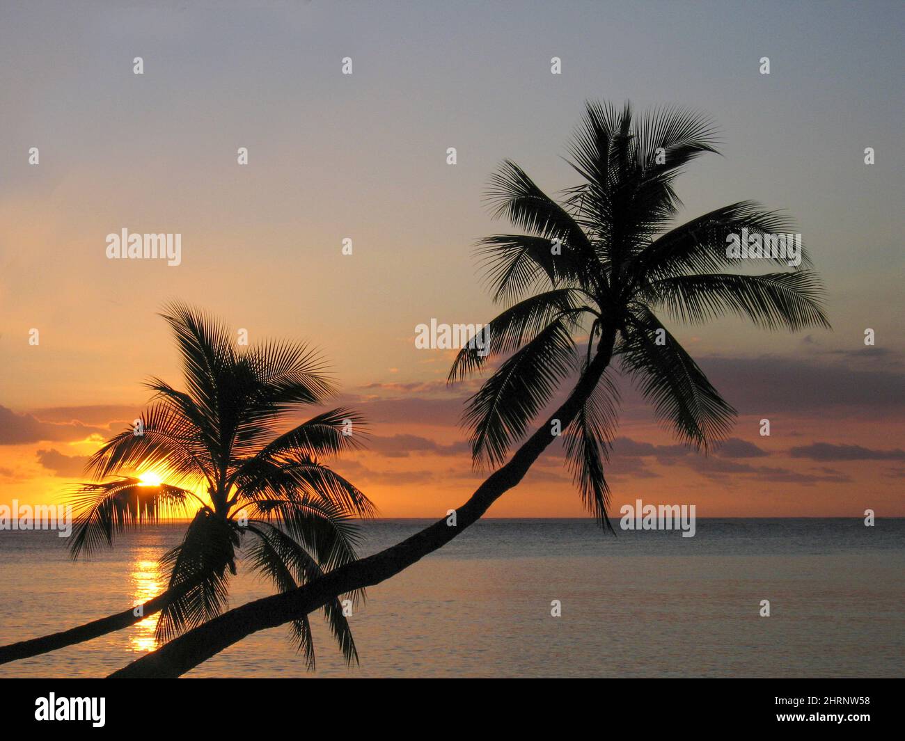 Pacific islands, Fiji ,a tropical sunset with palm trees Stock Photo ...
