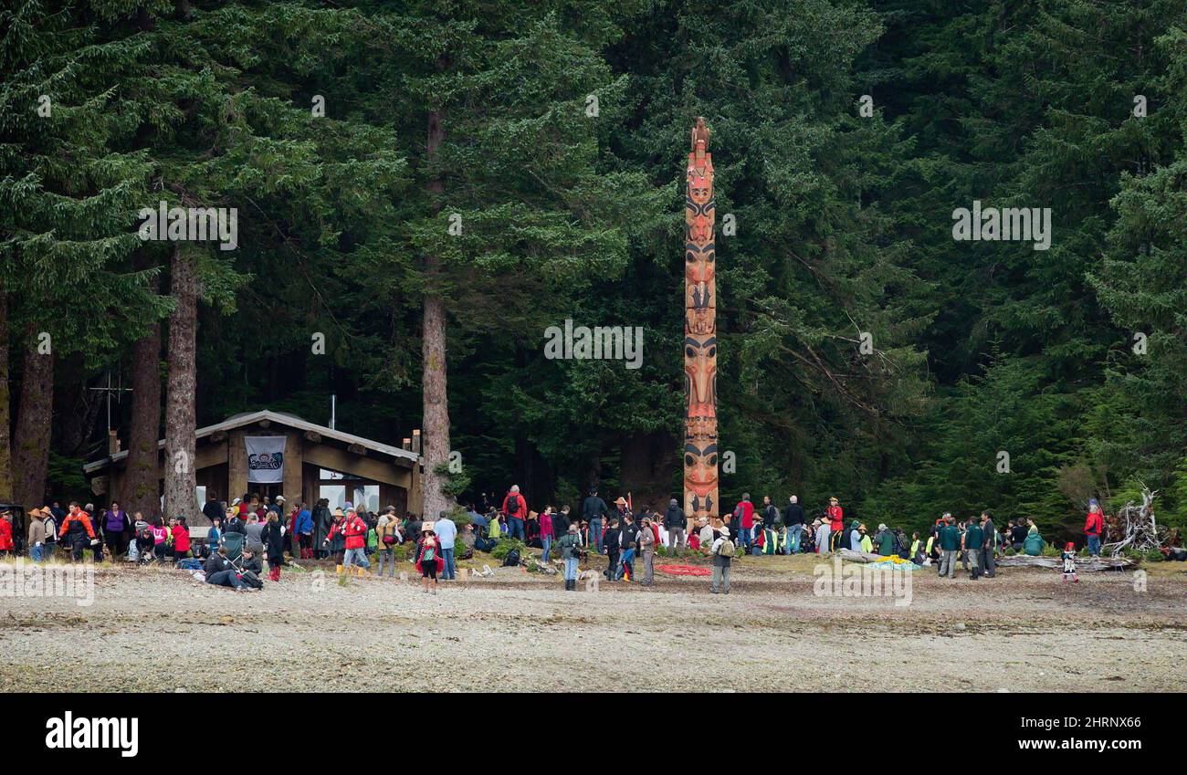 The Gwaii Haanas legacy totem pole is seen after being raised in Windy ...