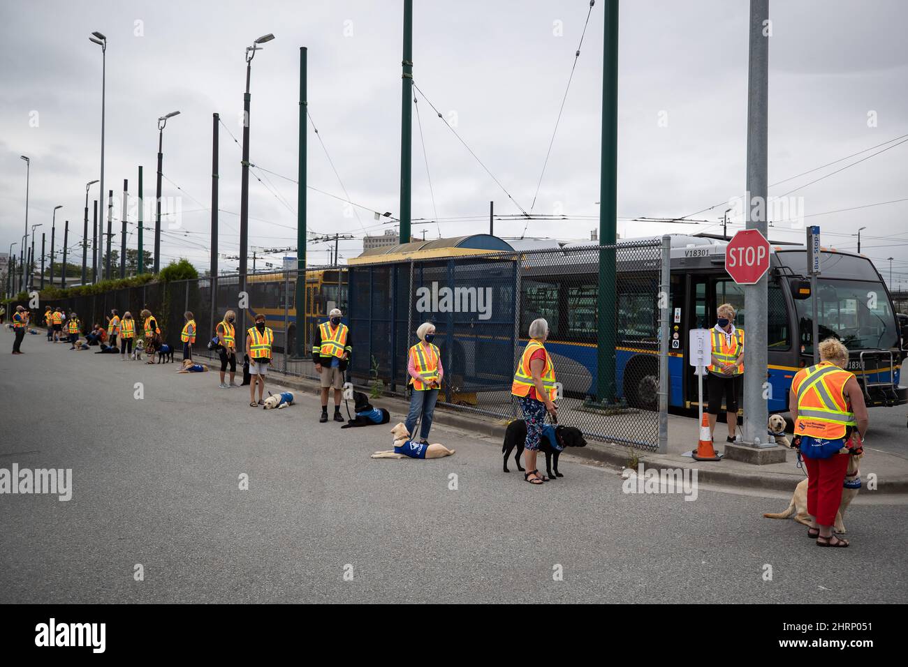 Trainee service dogs and their volunteers wait to board and ride ...