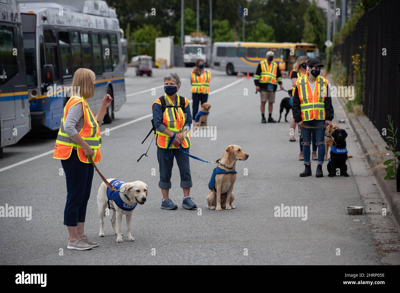 Trainee service dogs and their volunteers wait to board and ride ...