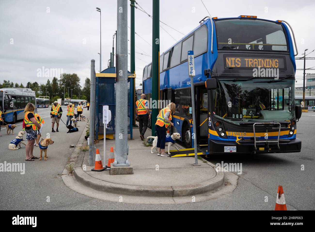 Trainee service dogs and their volunteers wait to board and ride ...