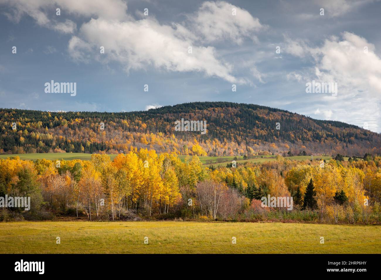 Beautiful view of the autumn landscape in Gaspesie, Quebec, Canada ...