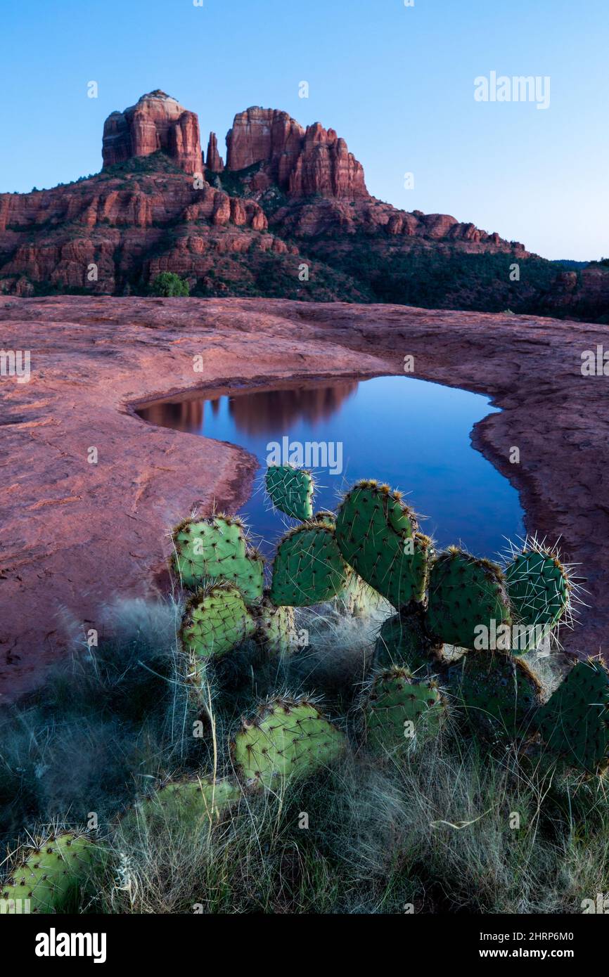 Small pool of water reflects the red rocks of Sedona, Arizona Stock ...