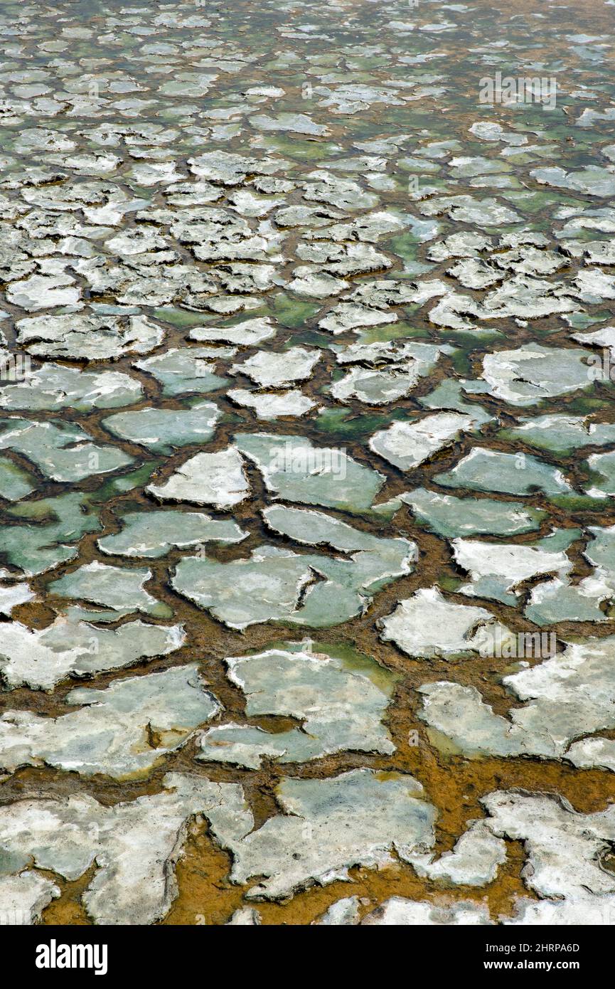 Vertical shot of salt evaporation of marsh textures in the Guerande ...